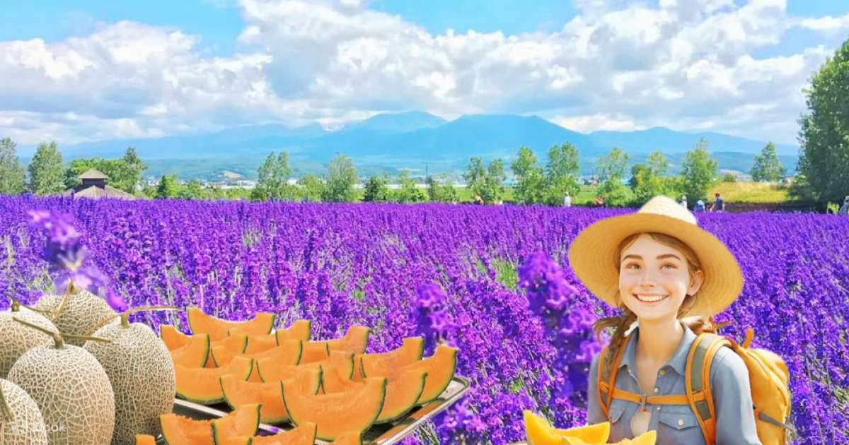 후라노 And 비에이 멜론 뷔페 포함 일일 버스 투어 삿포로 출발 클룩 Klook 한국